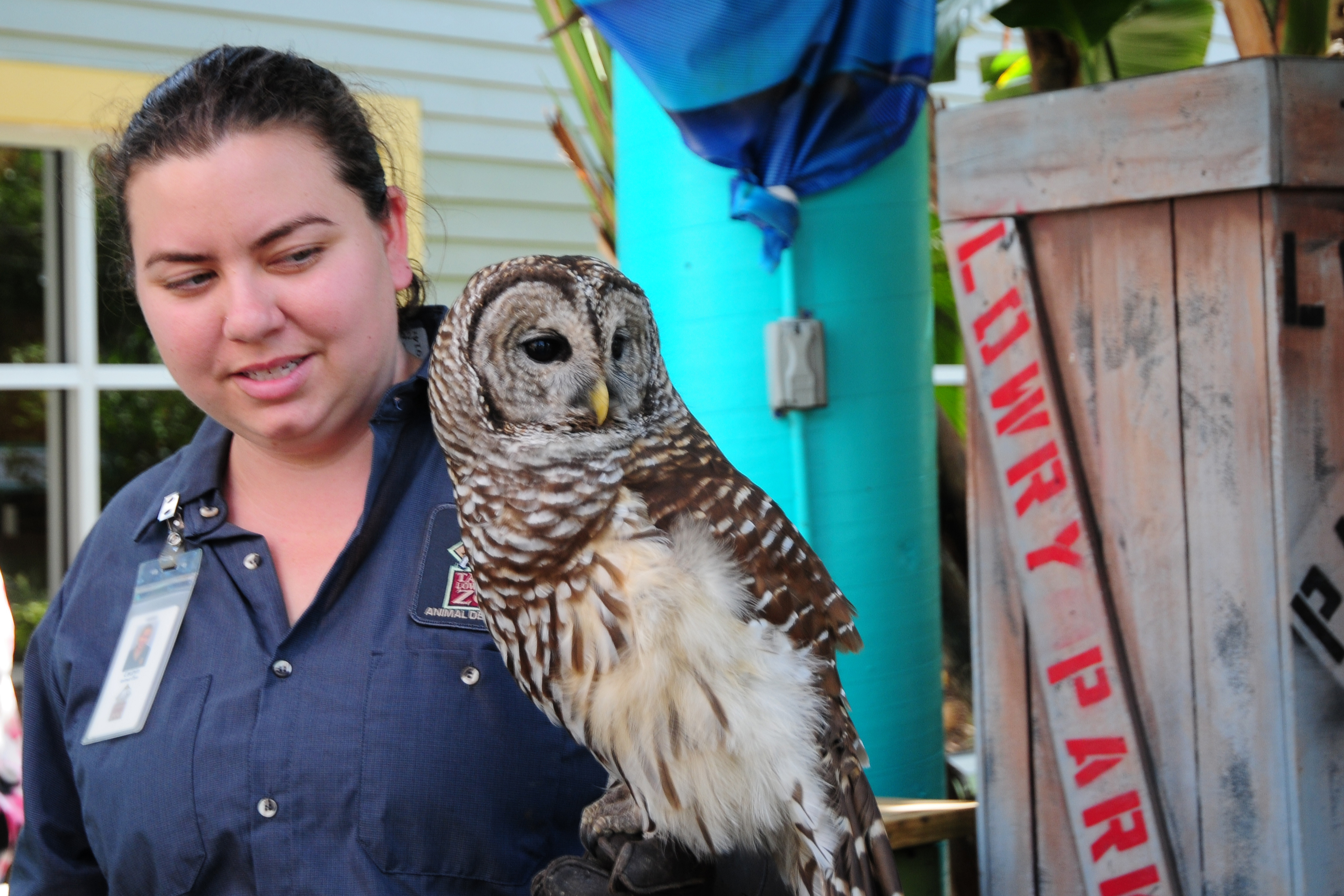 Lady and Owl | Shutterbug